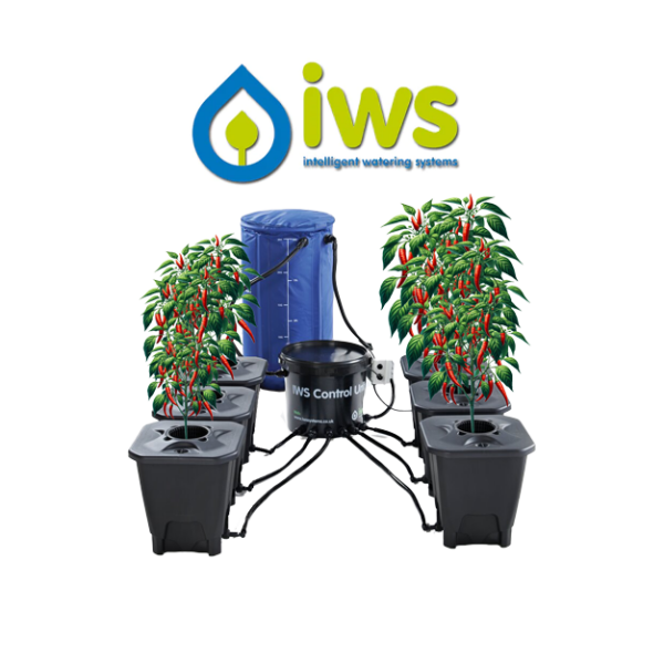 IWS Flut- und Drainagesysteme – Komplettsets mit Flex-Tanks
